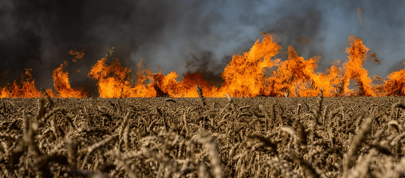 Дашборди Центр досліджень продовольства та землекористування (KSE Агроцентр) - Kyiv School of ...